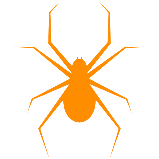 How to Create the Ultimate Jumping Spider Enclosure | Spiders Web HQ