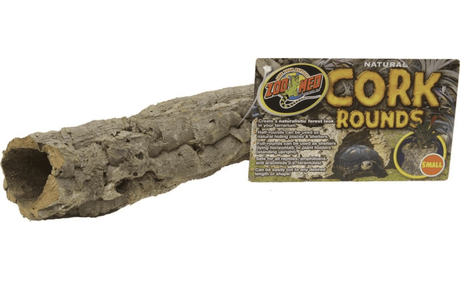 Enclosure Set-Up for a Jumping Spider - Spiders Web HQ