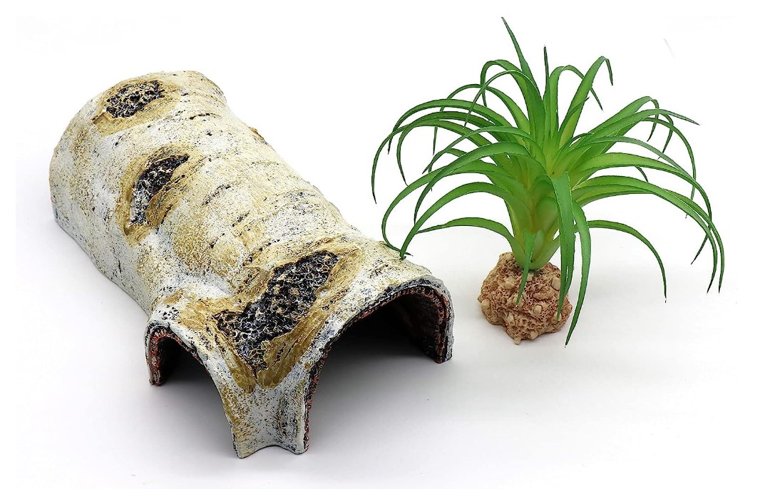 Bioactive Enclosure: The Ultimate Guide For Spider Enthusiasts ...