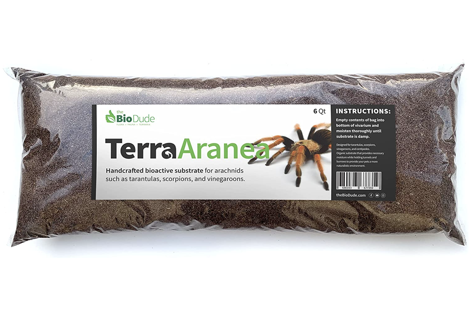 Bioactive Enclosure: The Ultimate Guide For Spider Enthusiasts ...