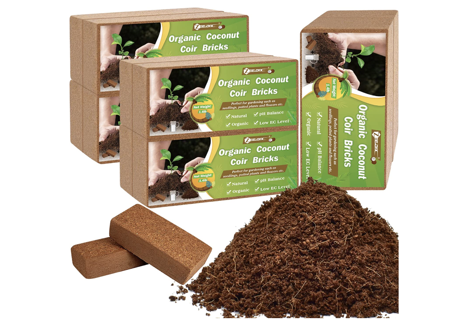 Bioactive Enclosure: The Ultimate Guide For Spider Enthusiasts ...