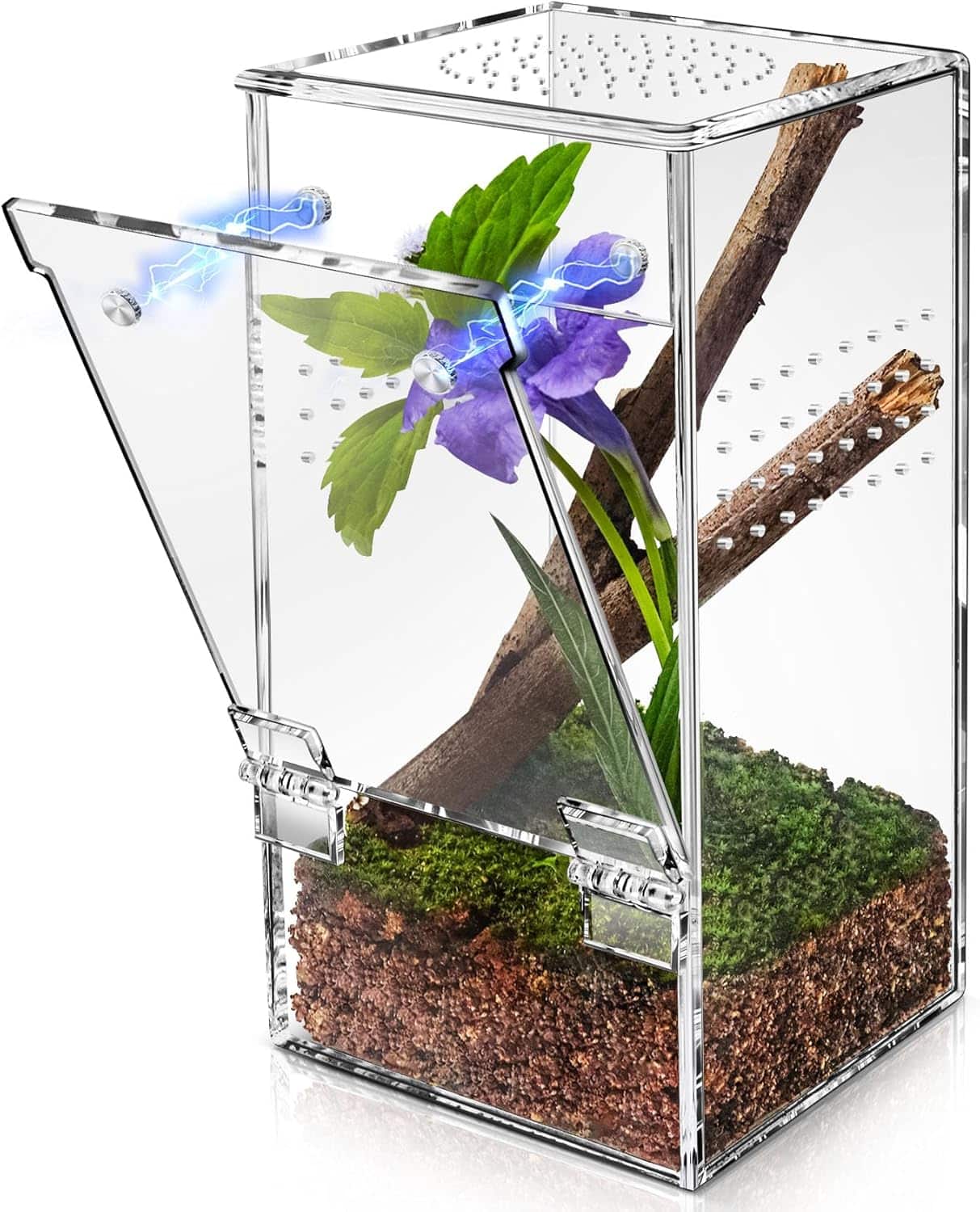 Jumping Spider Enclosures Reviewed: The Best of 2025 | Spiders Web HQ